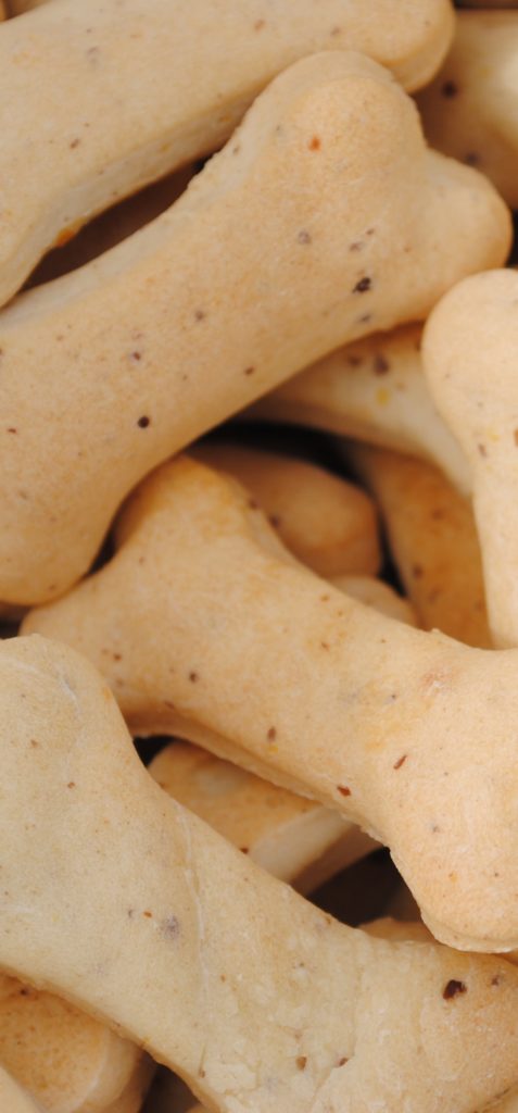 Plain | Happi Dog Rescue